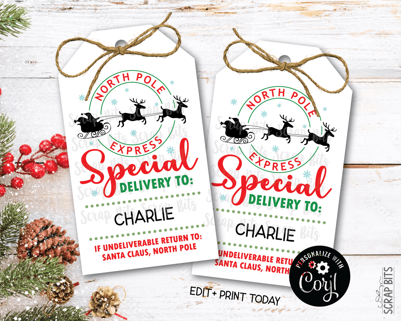 North Pole Express Special Delivery Tags, Printable From Santa Christm ...